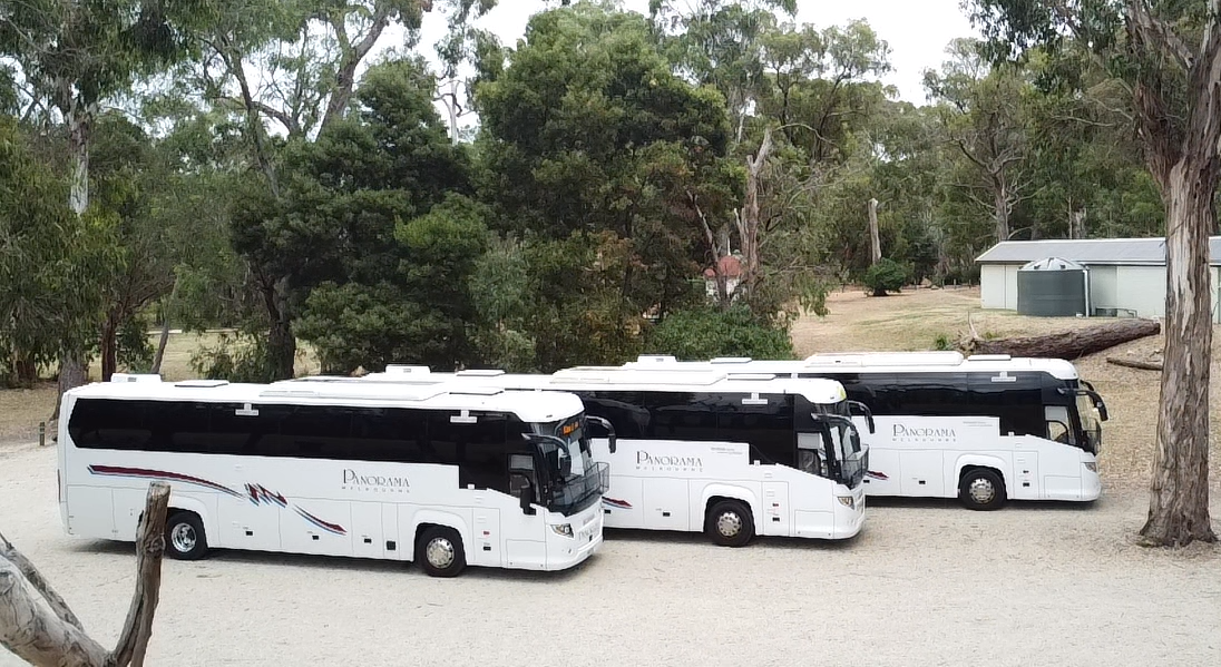 Regional Services - Panorama Coaches